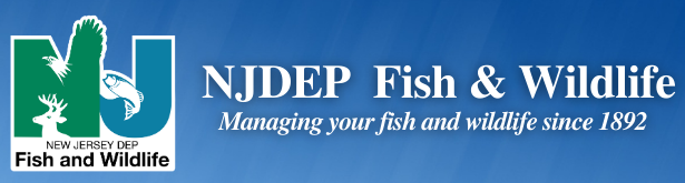 New Jersey Department of Environmental Protection - NJDEP Fish ...